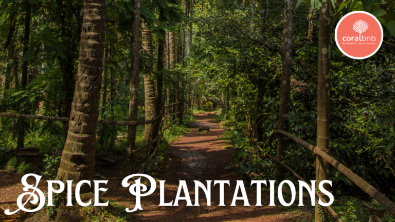 Top 10 Places To Visit in Goa | Best Tourist Places in Goa – Coral BnB