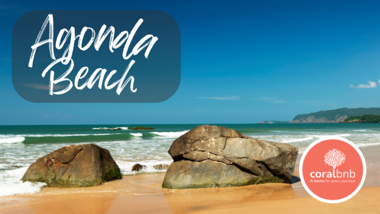 Top 20 Must Visit Places In South Goa in 2025